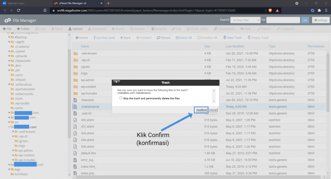 Cara Mudah Mengatasi "The website is undergoing scheduled maintenance" di Wordpress