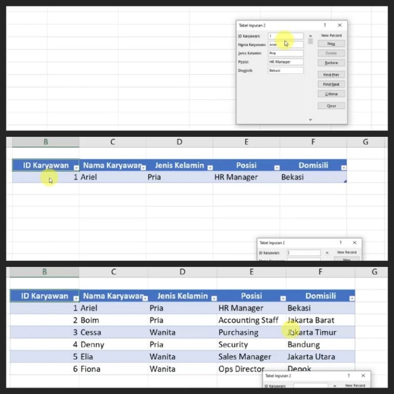 Cara Membuat Entry Data Otomatis di Excel Agar Lebih Cepat dan Mudah